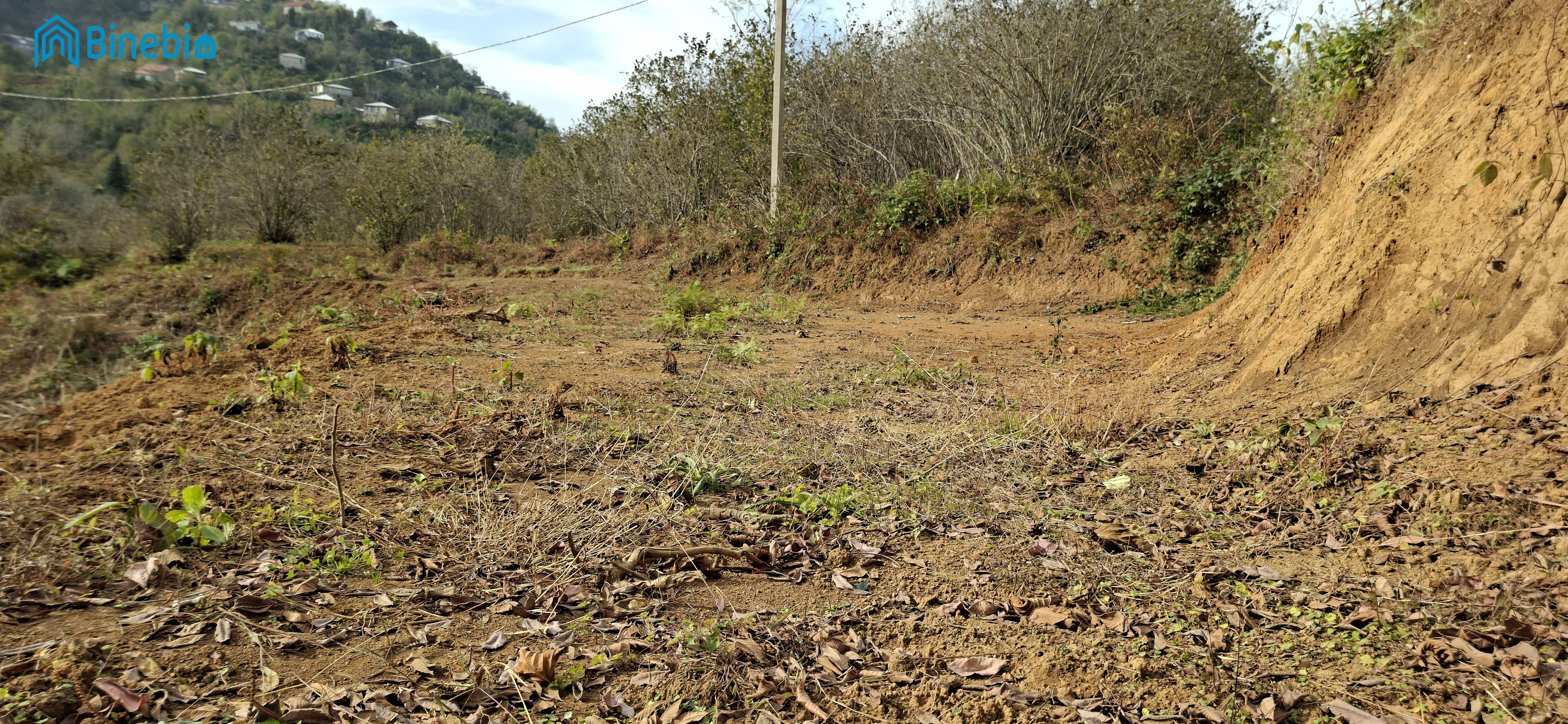 იყიდება 1534 მ² მიწის ნაკვეთი, ხელვაჩაური, Tsinsvla, Chelta