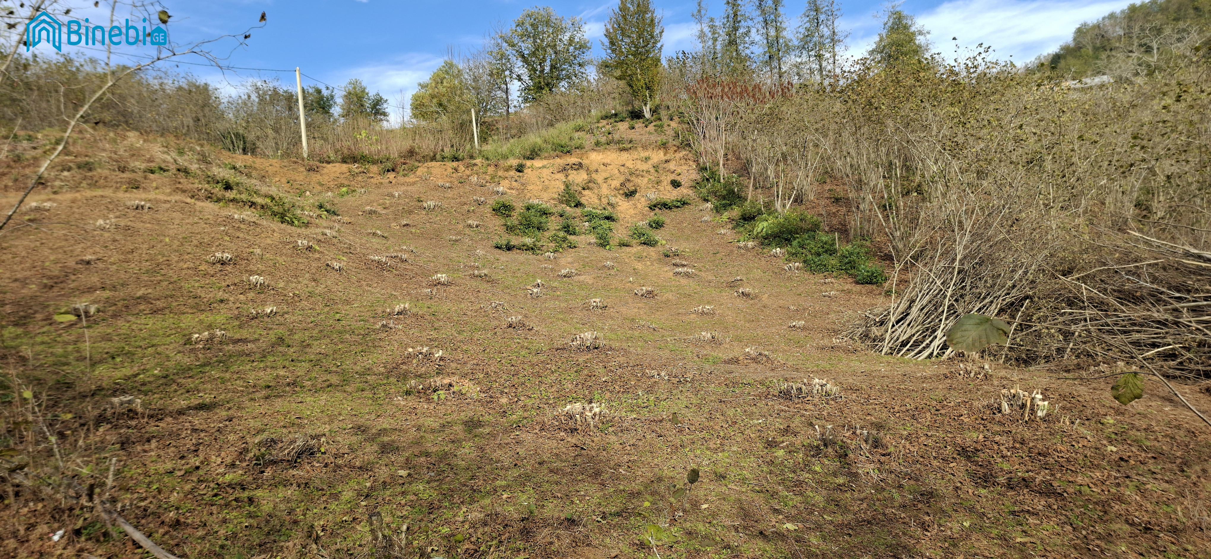 იყიდება 1534 მ² მიწის ნაკვეთი, ხელვაჩაური, Tsinsvla, Chelta