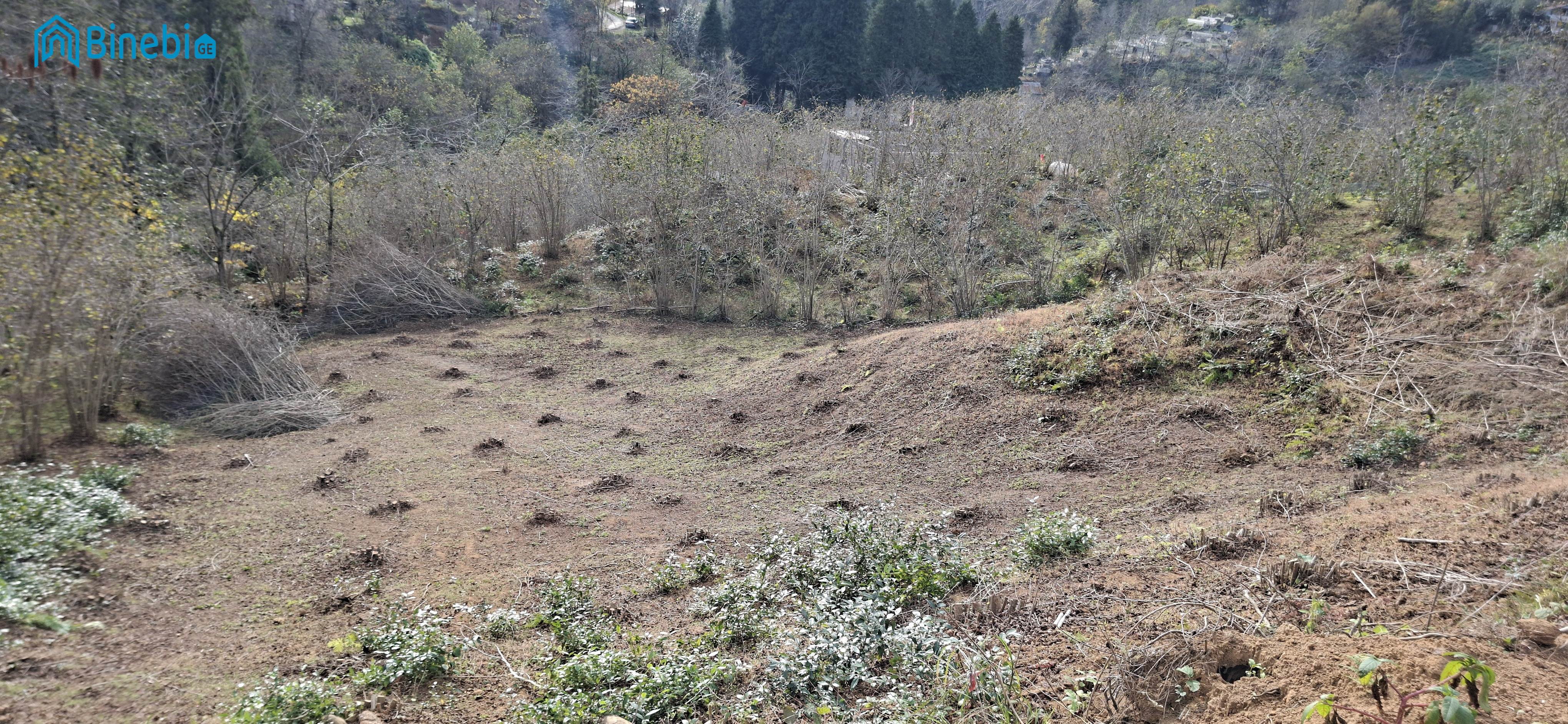 იყიდება 1534 მ² მიწის ნაკვეთი, ხელვაჩაური, Tsinsvla, Chelta